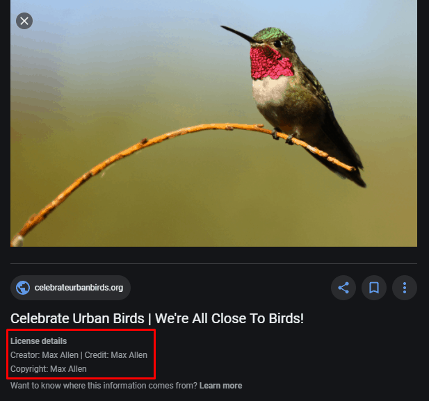Google Adds "Licensable" Label Under Image Results - Know The Details HERE!